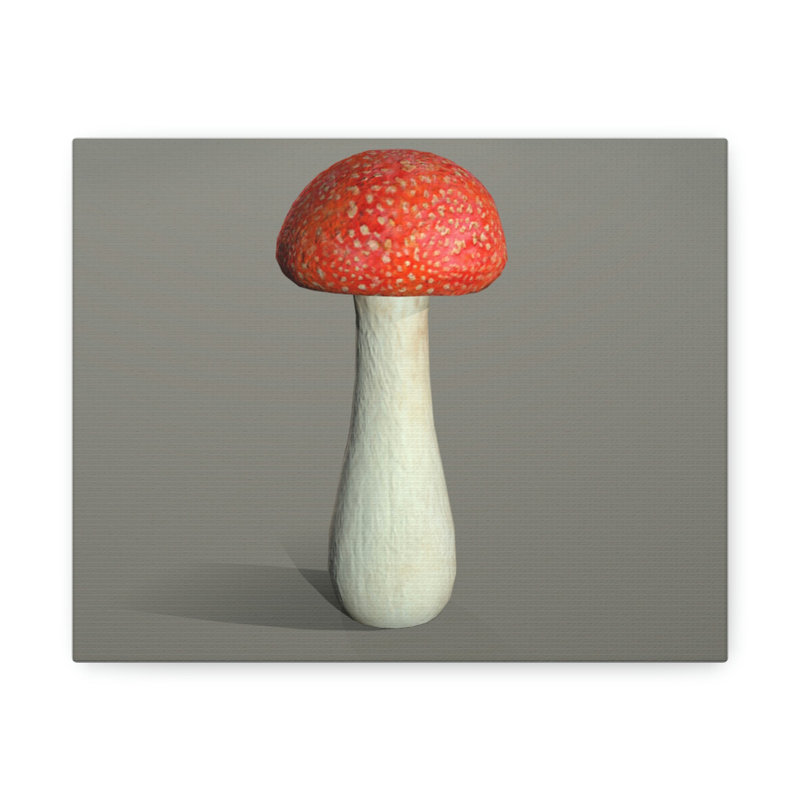 Gracie Oaks Mushroom by Kelly Johnson - Wrapped Canvas Graphic Art ...