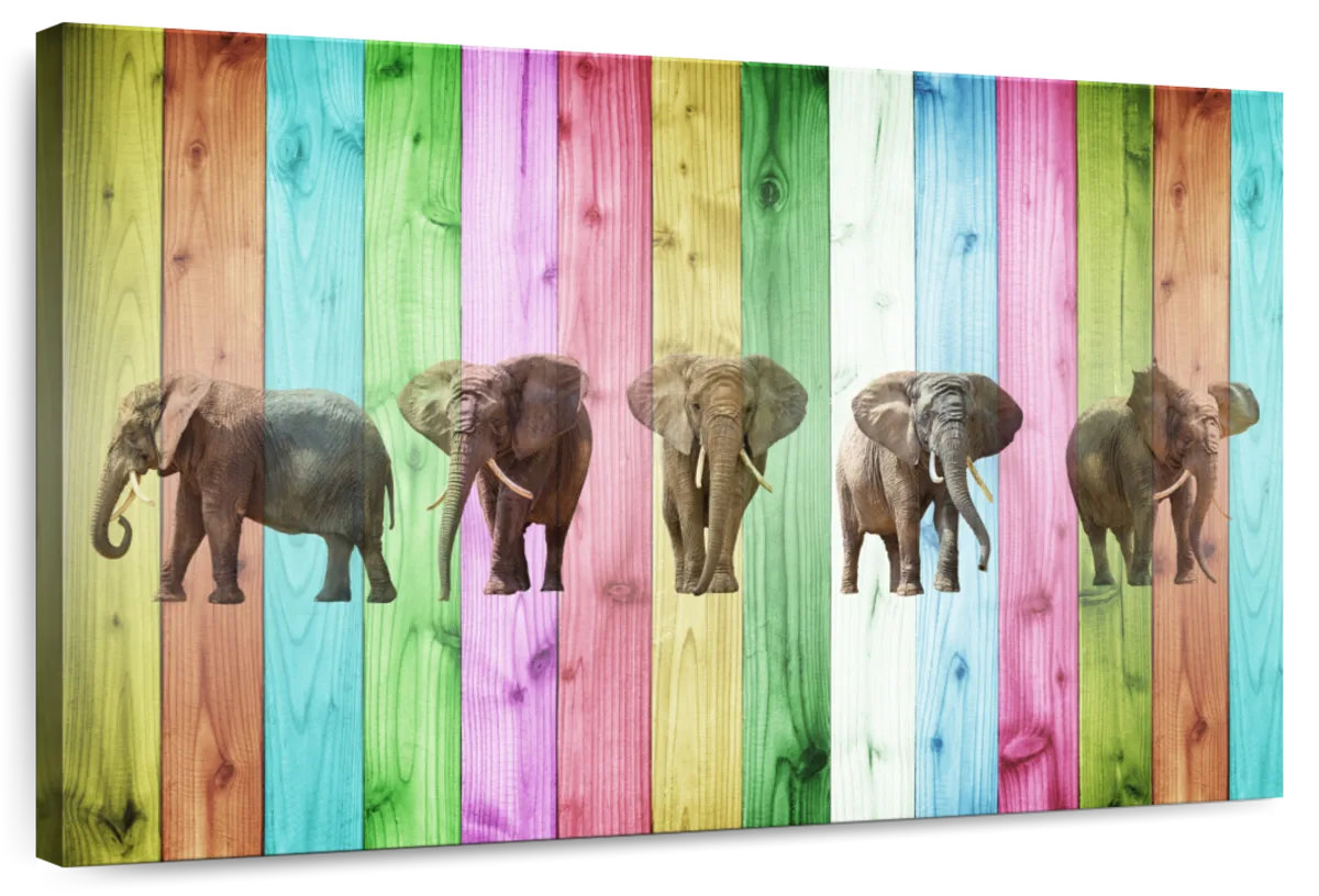 Ebern Designs Brampt Color Stripe Elephants | Wayfair