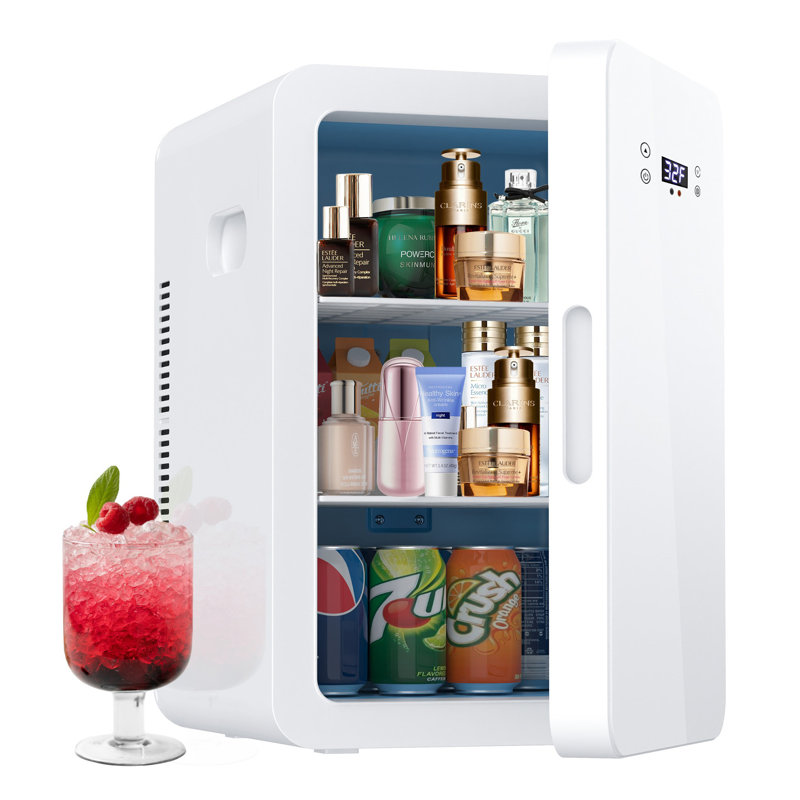 Advwin 22L Mini Fridge with Temperature Control, Compact Mini Skincare ...