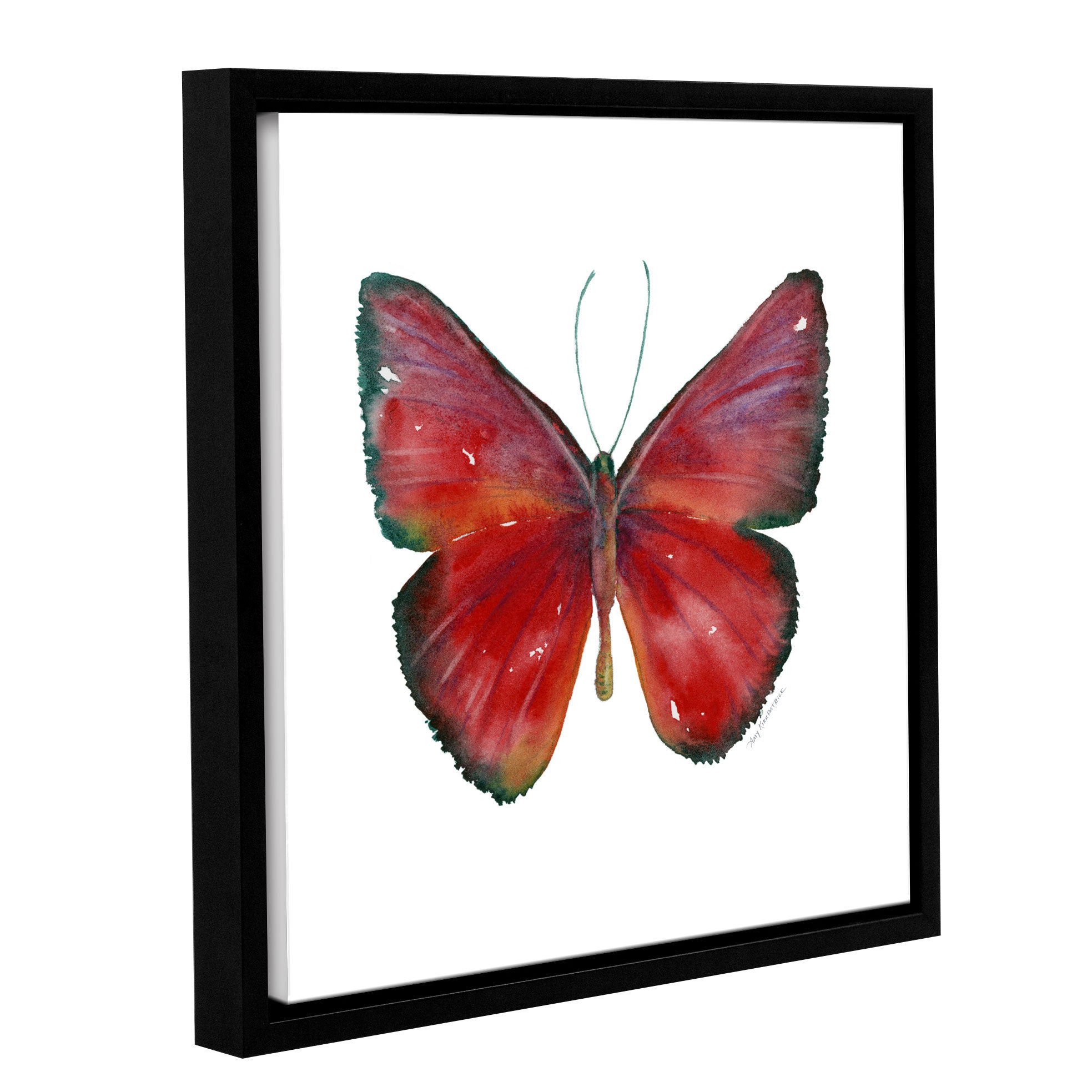 August Grove 'Mesene Rubella' Framed Painting Print - Wayfair Canada