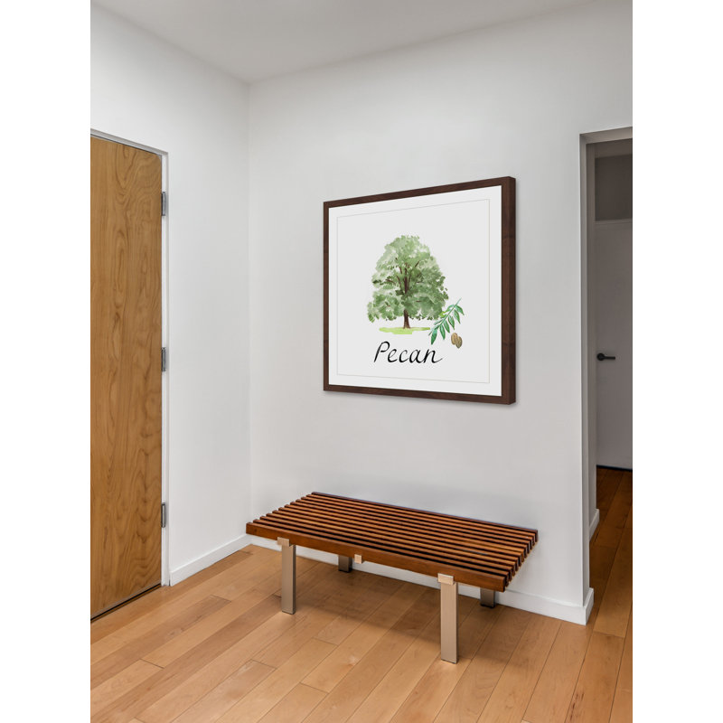 Red Barrel Studio® Pecan Tree Framed On Paper Print | Wayfair