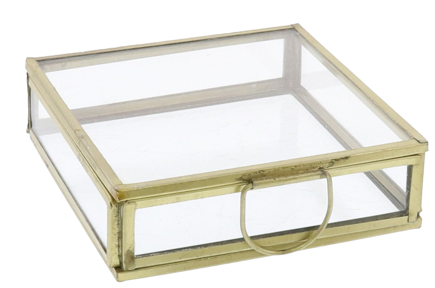 World Menagerie Square Glass Display Box - Wayfair Canada