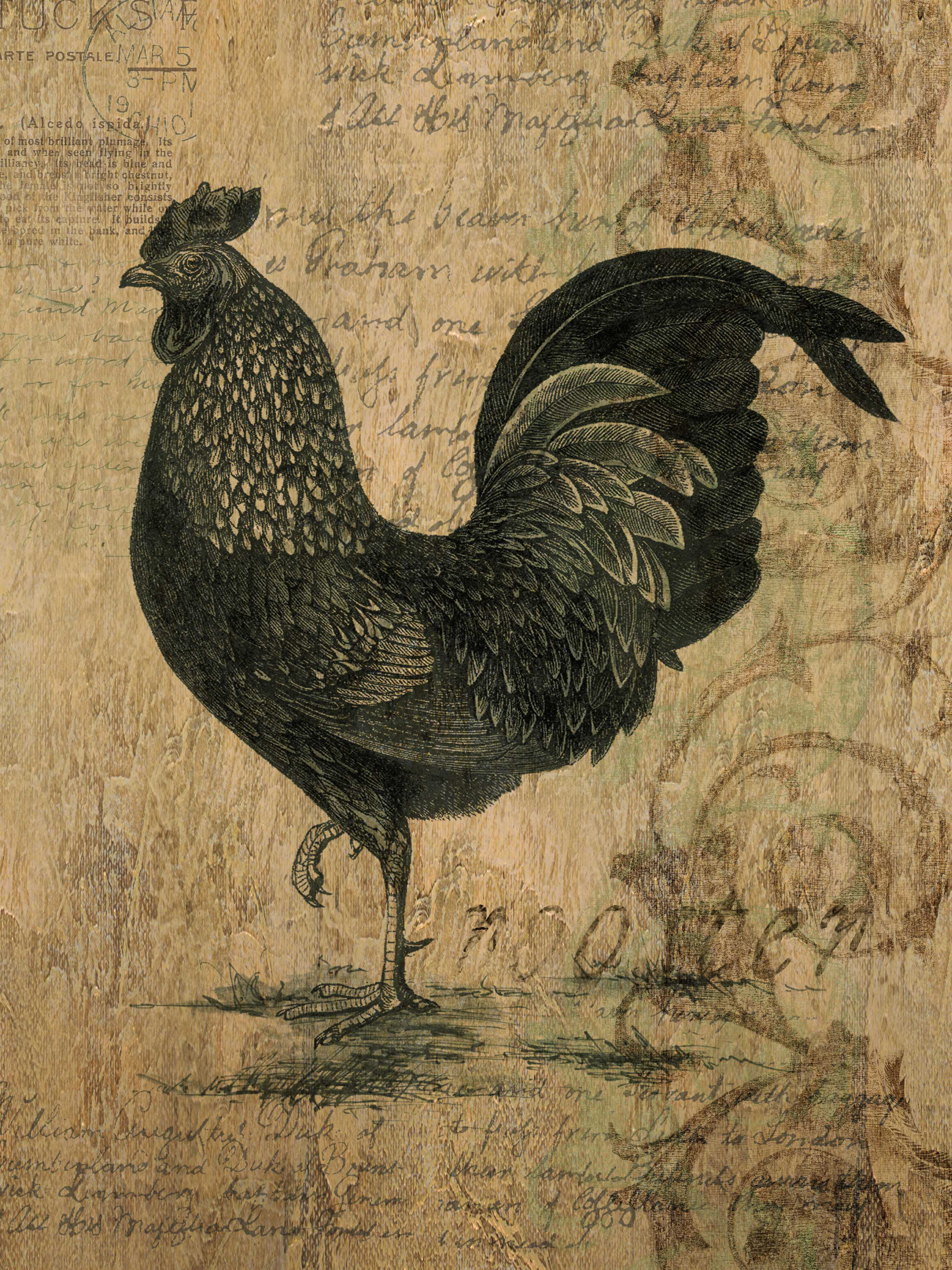 August Grove Country Rooster - Wayfair Canada