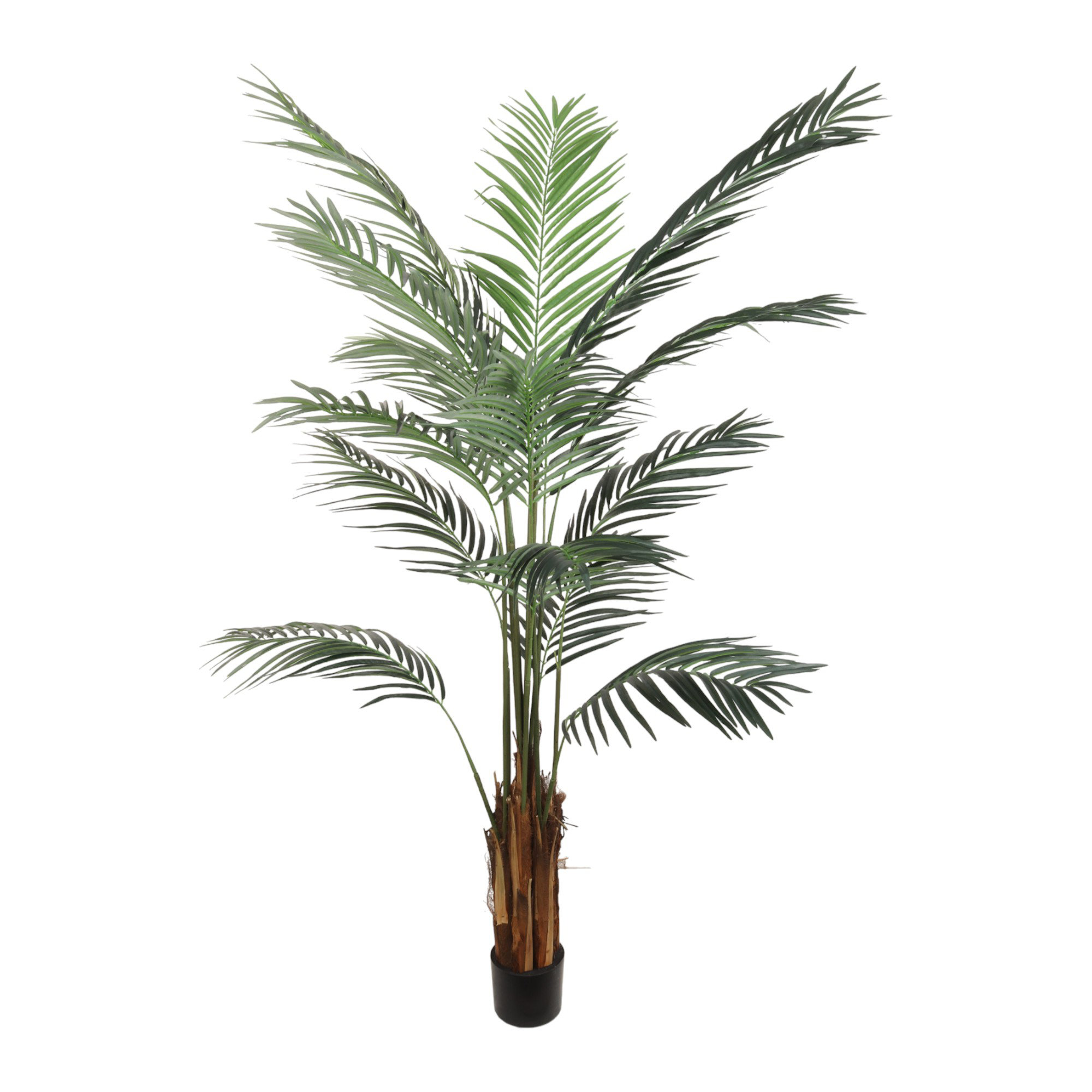 Primrue 72 Palm Tree Plant - Wayfair Canada