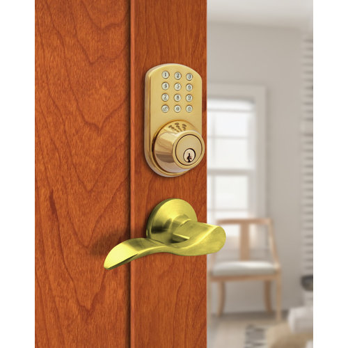 Polished Brass Smart & Electronic Door Locks You'll Love | Wayfair