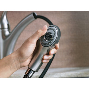 K-10433-BN,VS,G Kohler Forte® Pull Out Single Handle Kitchen Faucet ...