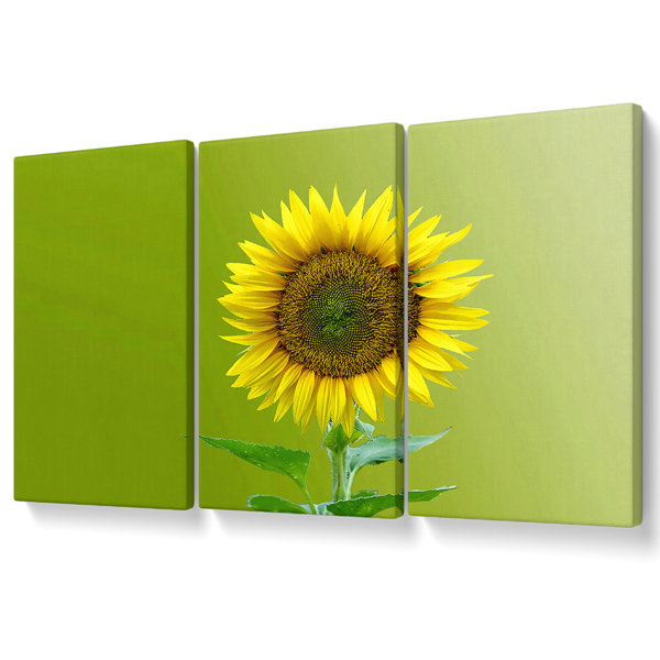 August Grove Single Sunflower - 3 Piece Wrapped Canvas Print | Wayfair ...