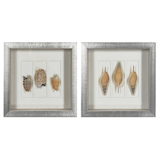 Zentique Abstract Shell Art Framed On Paper Print | Wayfair