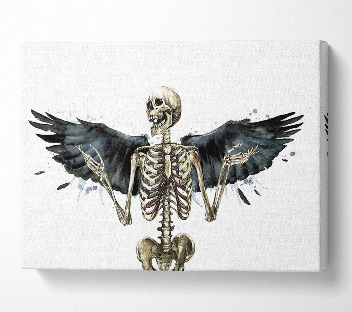 Maturi Skeleton Angel Wings | Wayfair.co.uk