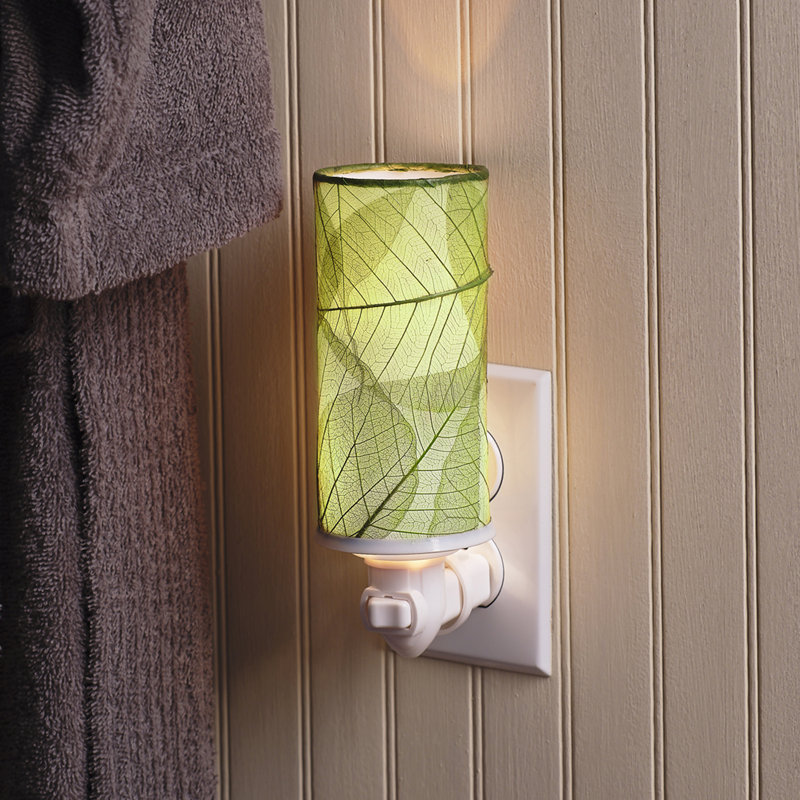 Eangee Home Design Cylinder Night Light & Reviews | Wayfair