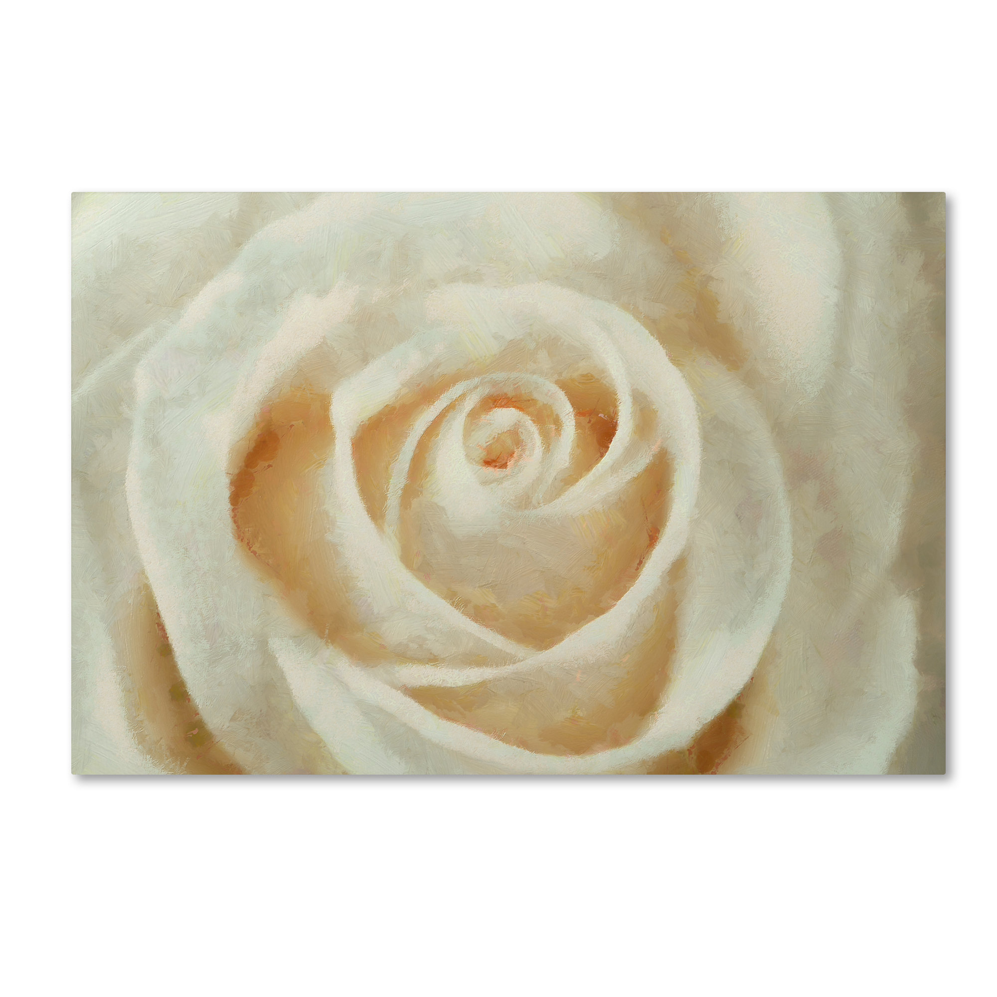 House of Hampton 'White Rose' Print on Wrapped Canvas - Wayfair Canada