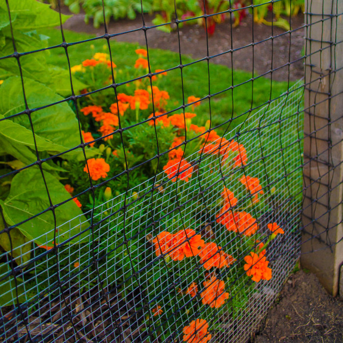 YARDGARD Silver Metal Fencing & Reviews | Wayfair