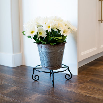 Fleur De Lis Living Varvara Metal Plant Stand & Reviews | Wayfair