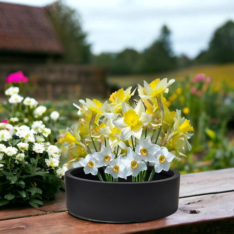 Ebern Designs Kali Fiberstone Table Vase | Wayfair