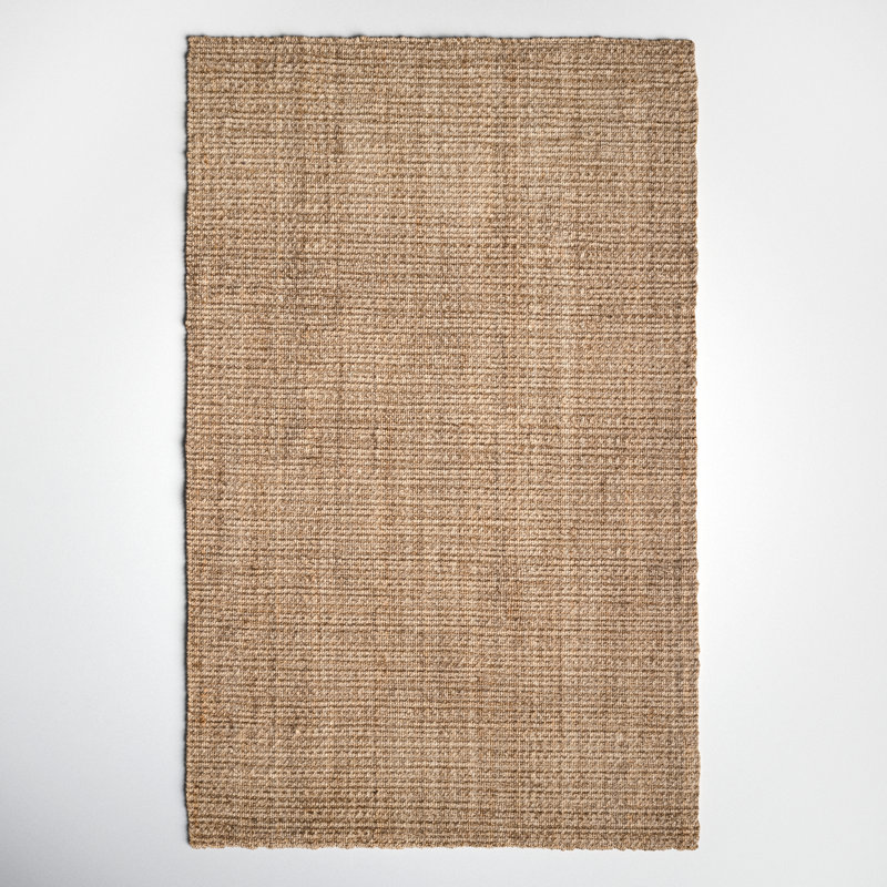 Birch Lane™ Vesper Flatweave Jute/Sisal Taupe/Dark Brown Rug & Reviews ...