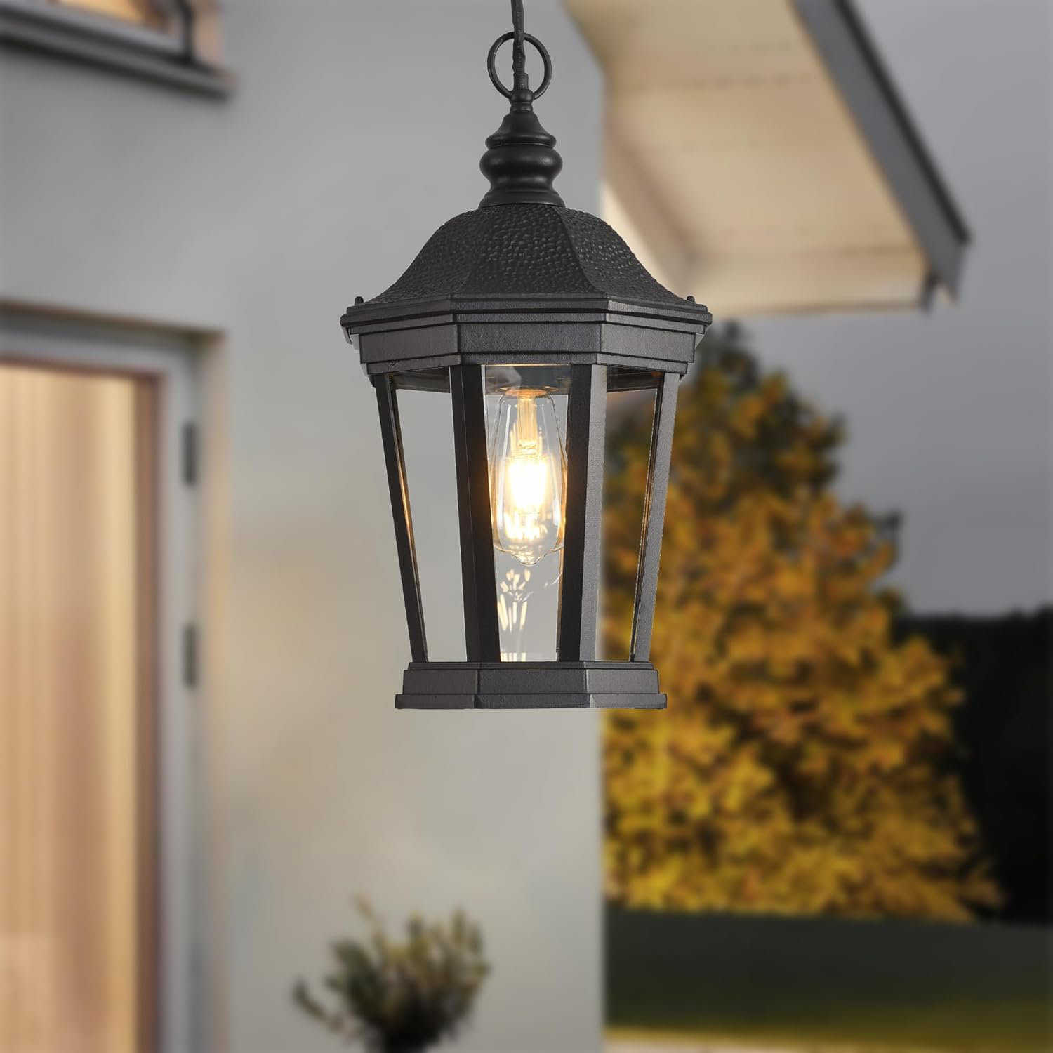 Charlton Home Adjustable Outdoor Pendant Light Fixture With Clear Glass ...