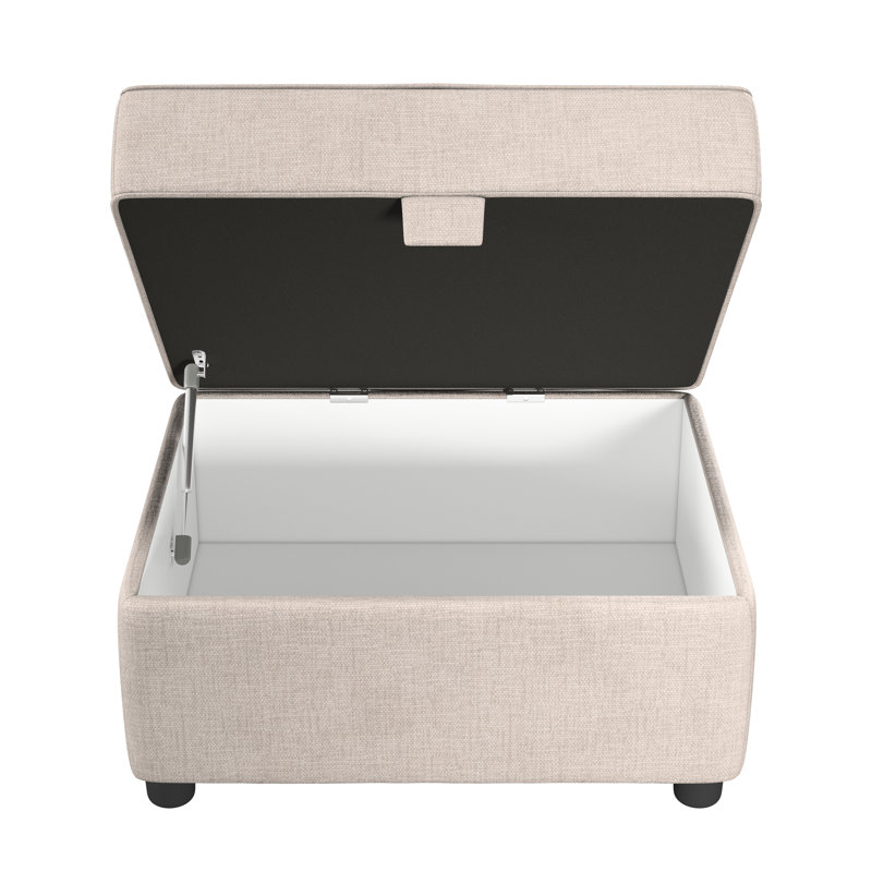 Brayden Studio Alesandro Wide Rectangle Footstool Ottoman with Storage ...