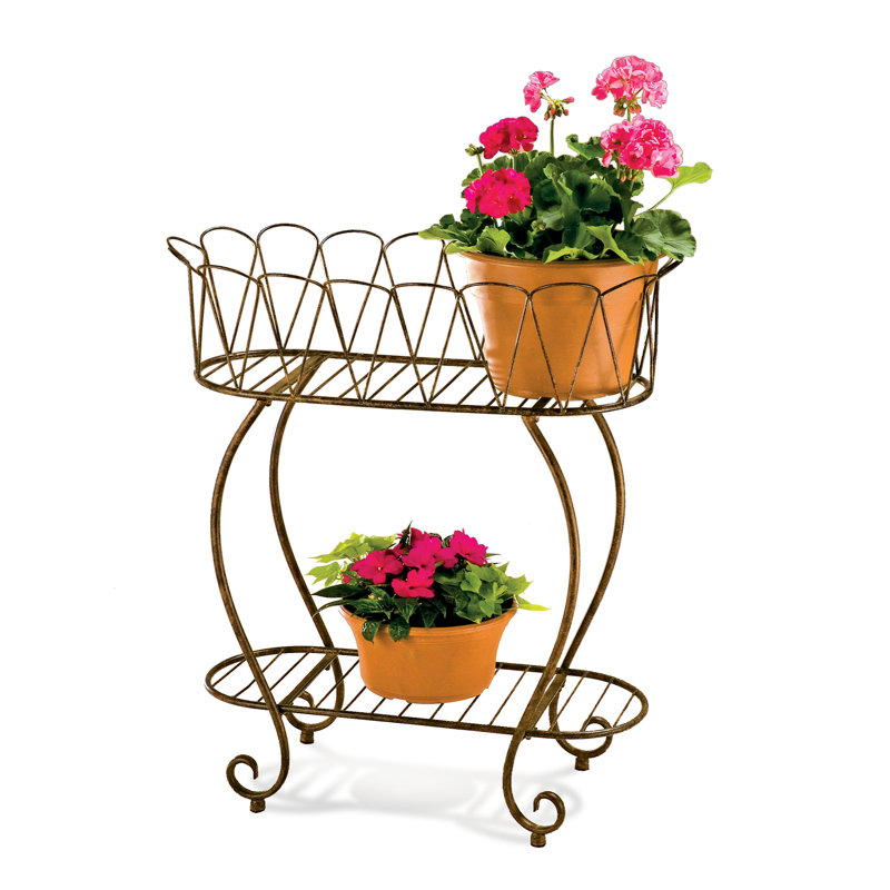 Deer Park Ironworks Oval Wave Plant Stand & Reviews | Wayfair
