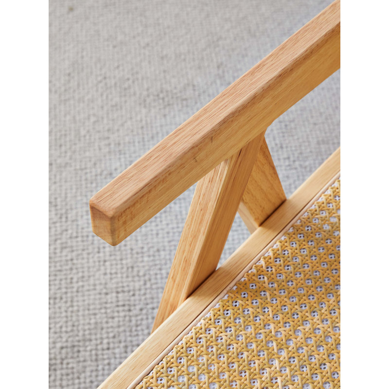 DSUNNER Fake rattan Armchair | Wayfair