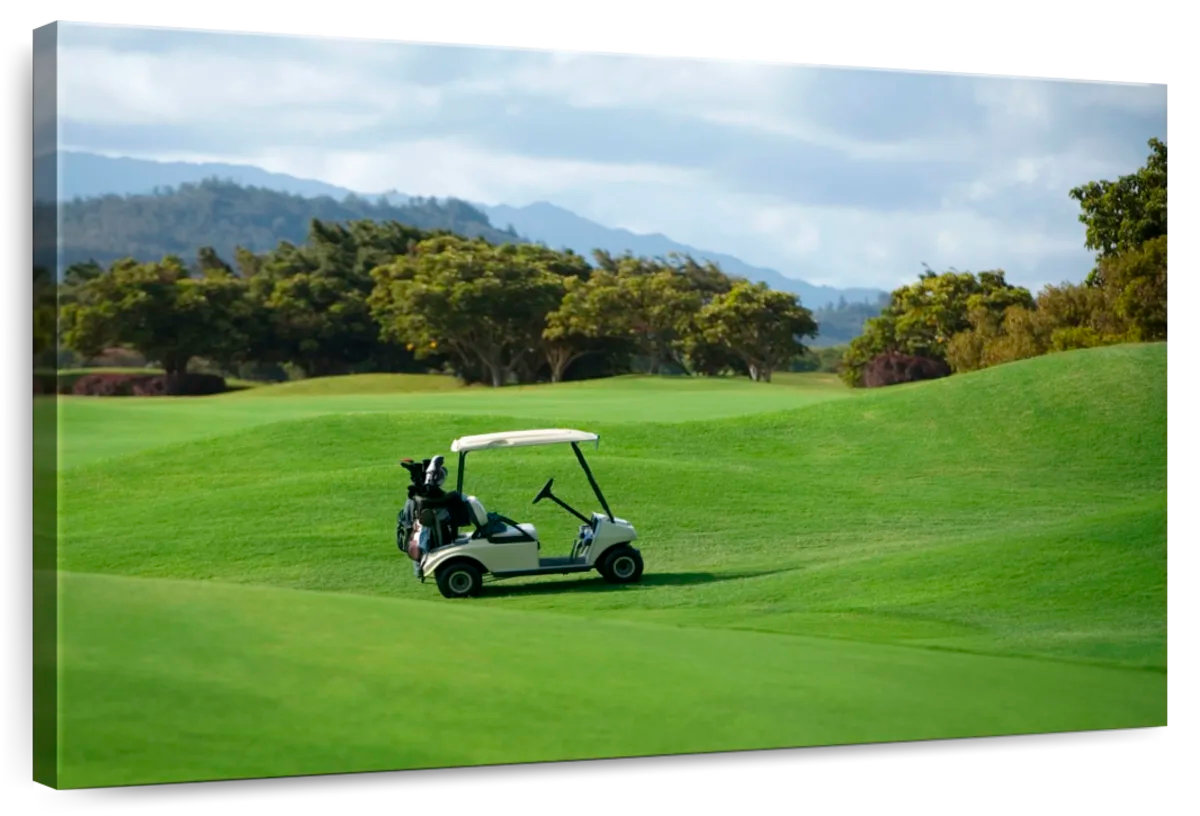 Ebern Designs Golf Course Cart - Wayfair Canada