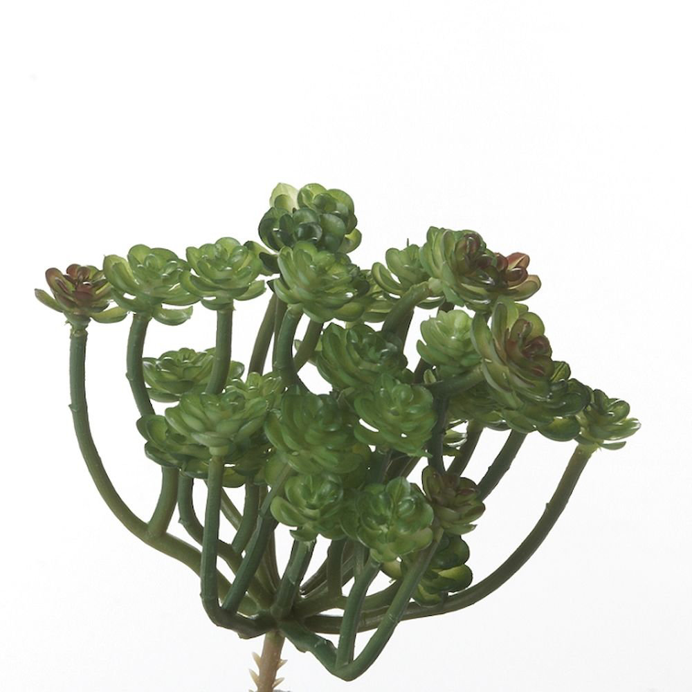 Primrue Succulent Spray | Wayfair
