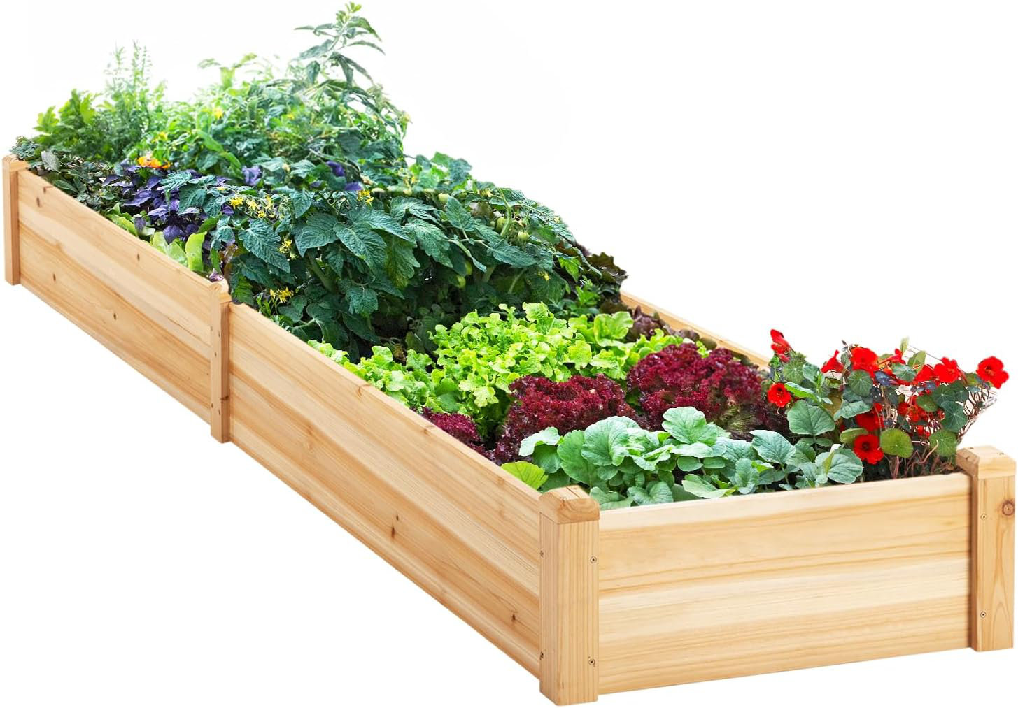 Arlmont & Co. Wooden Raised Garden Planter Bed with divider - Natural ...