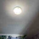 Mercer41 Led Crystal Celing Light 11 Inch Flush Mount Ligh | Wayfair