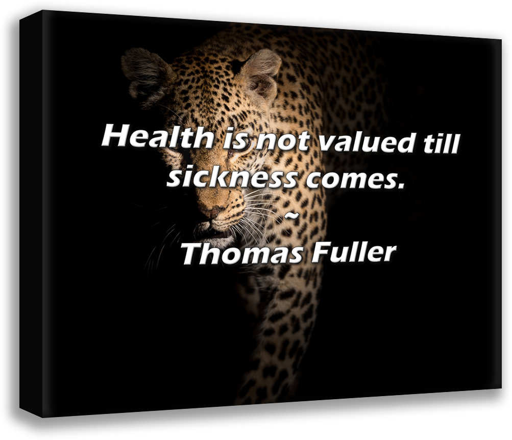 Astoria Grand Artsy Quote "Health is not valued till sickness comes ...