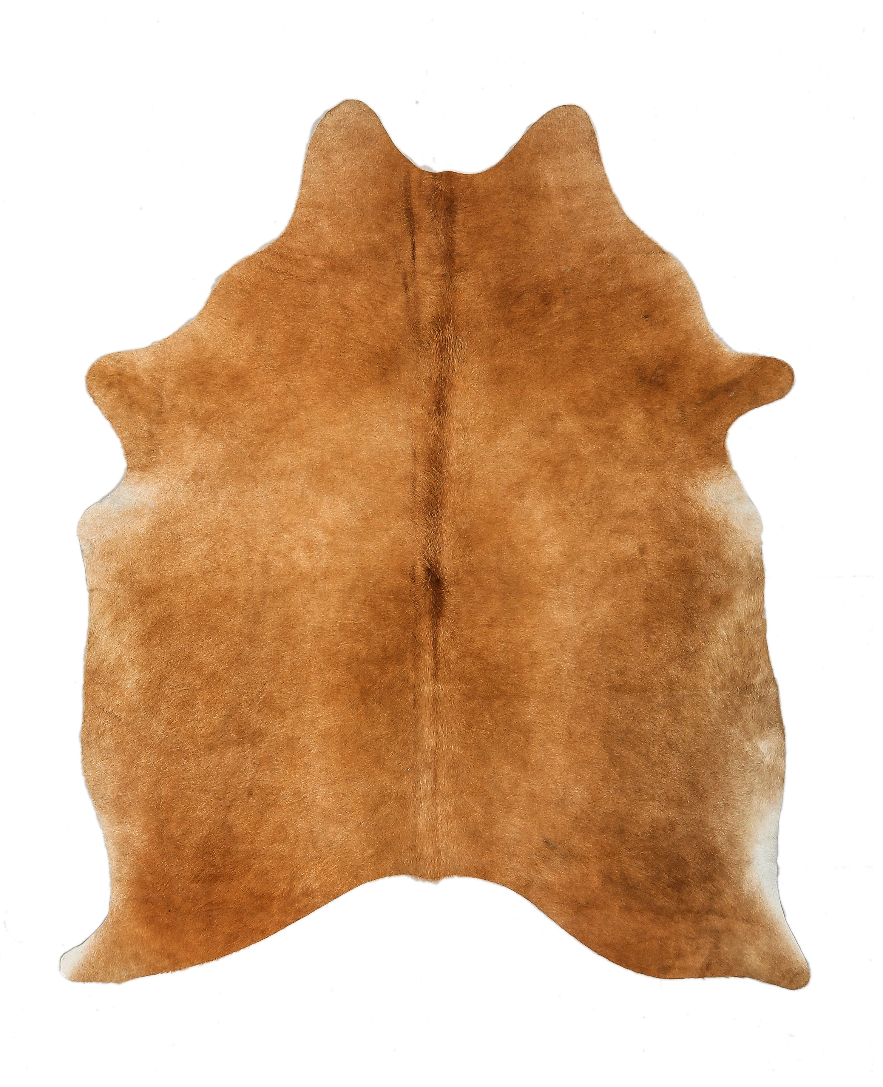Natur Pur Natural Cow Hide - Tan | Wayfair.co.uk