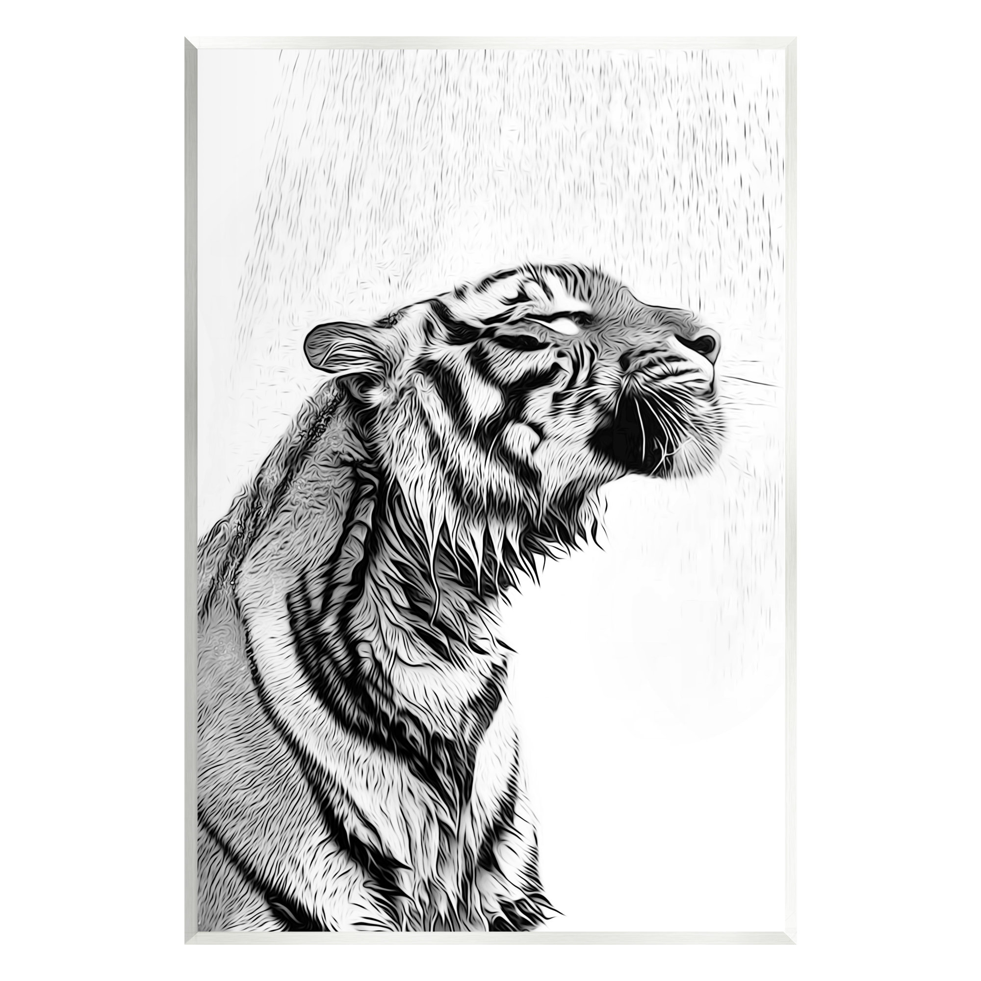 Stupell Industries Az-238-Framed Tiger Bathroom Splash by Annalisa ...