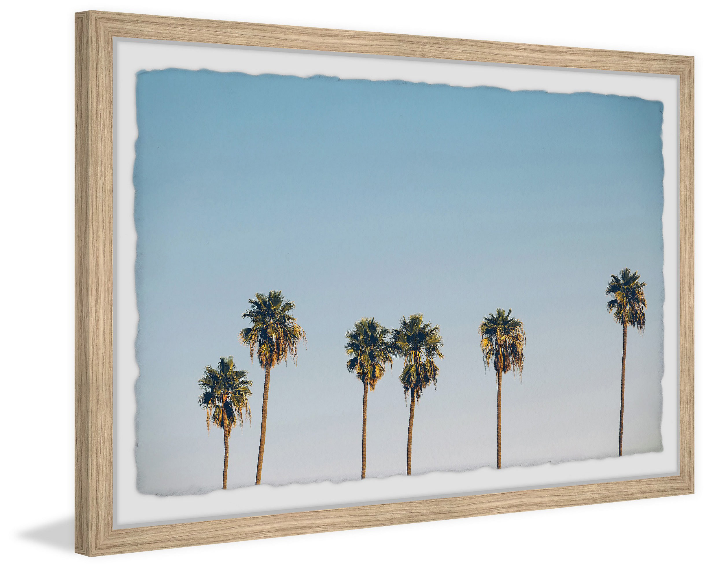 17 Stories 'Tall Coconut Palm Trees' - Picture Frame Photograph Print ...