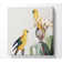 Bay Isle Home Two Yellow Parrots - Wrapped Canvas Art Prints | Wayfair ...