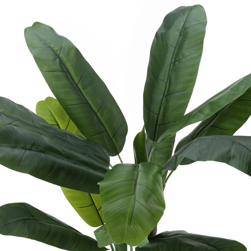 Primrue Realistic Banana Tree for Tropical Decor | Wayfair