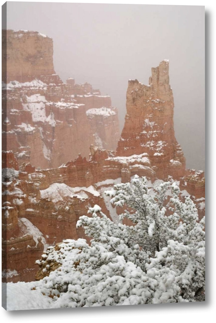 Millwood Pines 'Utah, Bryce Canyon Paria Valley Formations ...