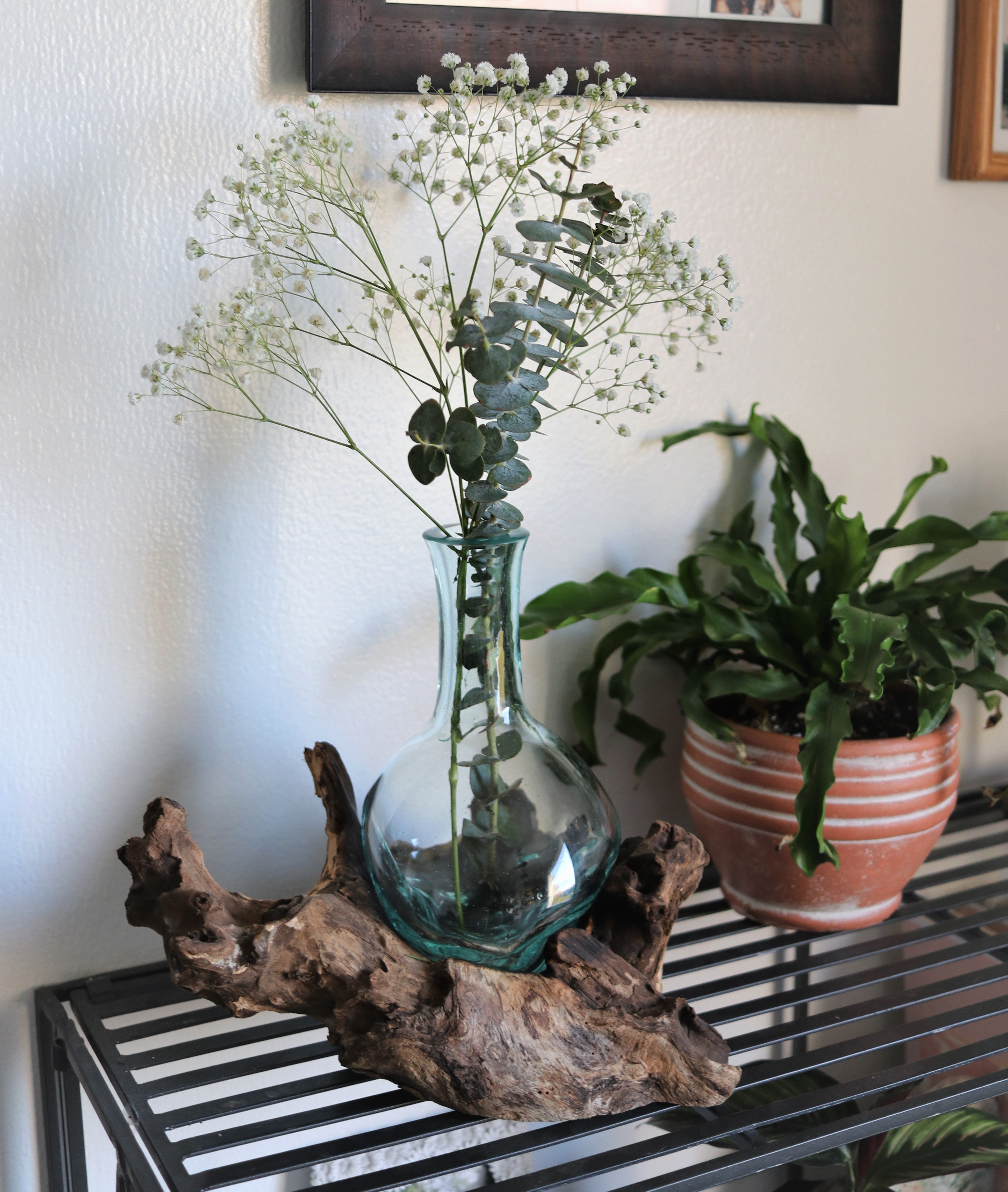 Cohasset Gifts & Garden CLEAR 10'' Indoor / Outdoor Glass Table Vase ...