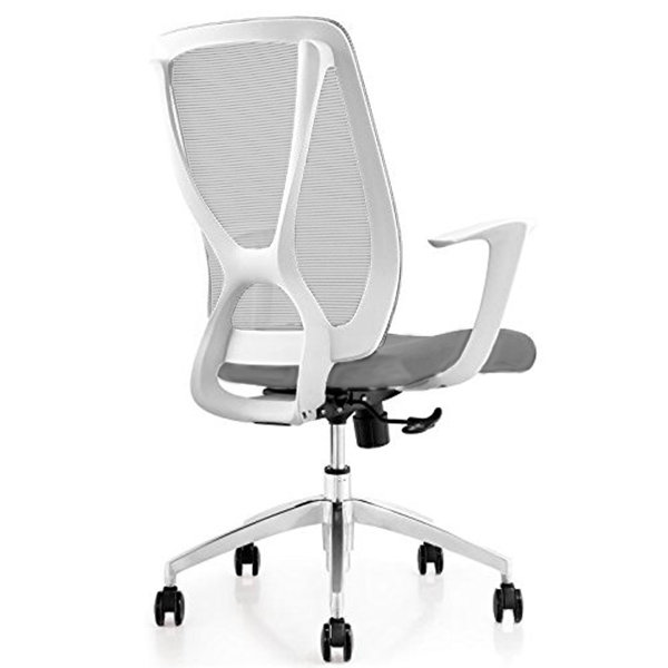 Latitude Run® Adolph Task Chair & Reviews | Wayfair