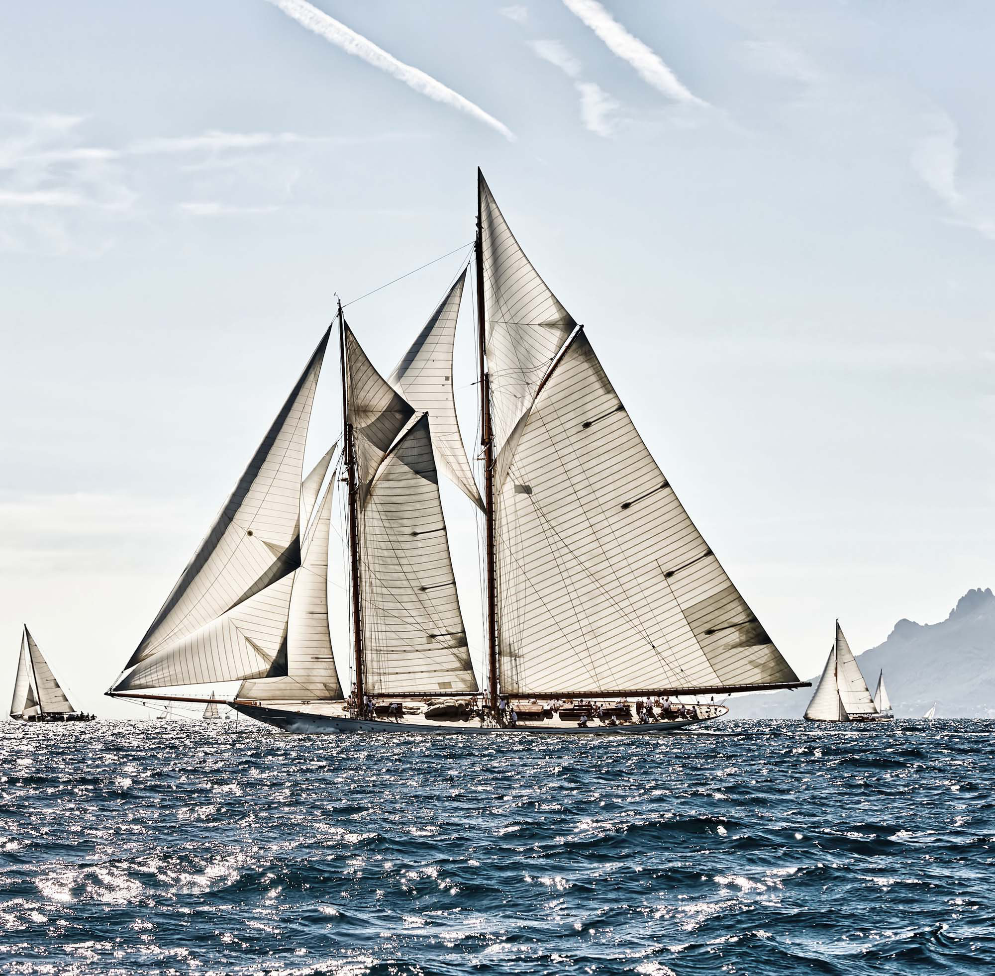 Yoffi Sailing 1 by Yaffa G - Unframed Graphic Art - Wayfair Canada