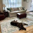 Trent Austin Design® Mcneel Abstract Green/Burnt Orange Indoor/Outdoor ...