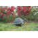 Hi-Line Gift Ltd. Turtle Statue & Reviews | Wayfair