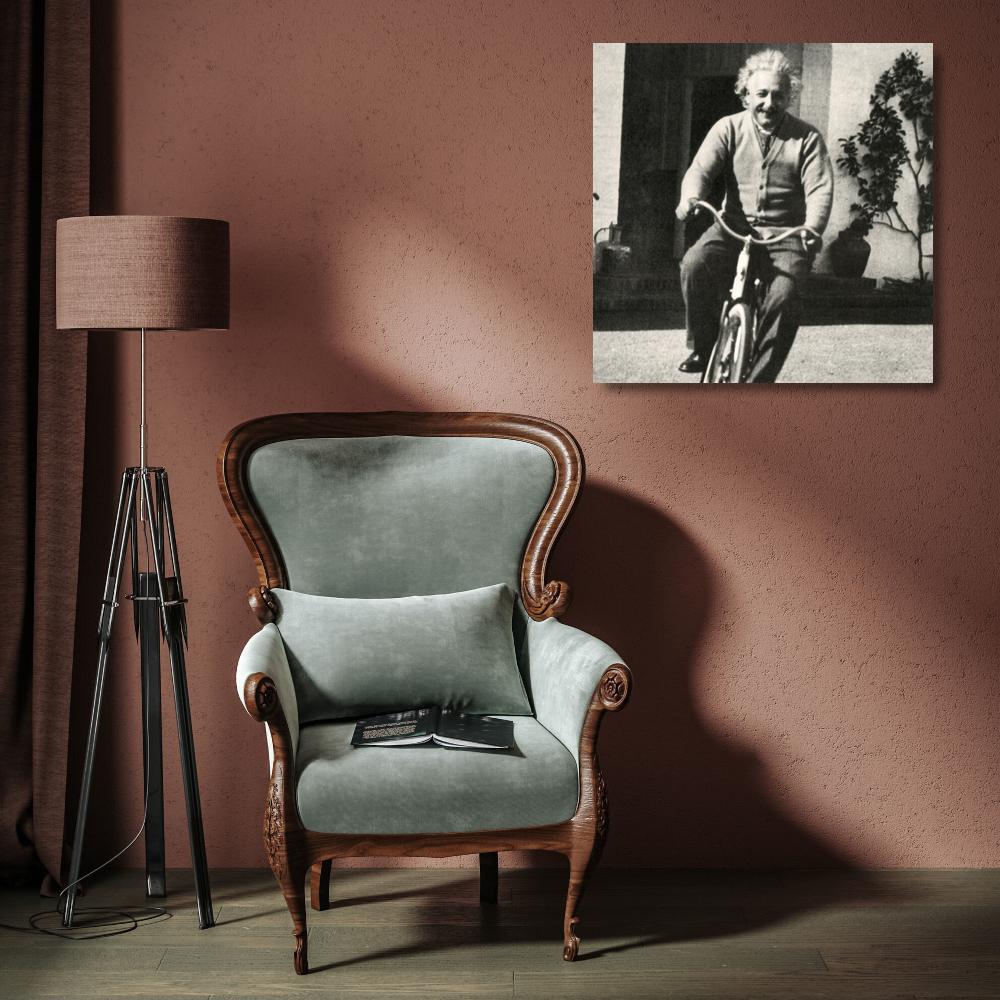 Latitude Run® Albert Einstein (Bike) | Wayfair