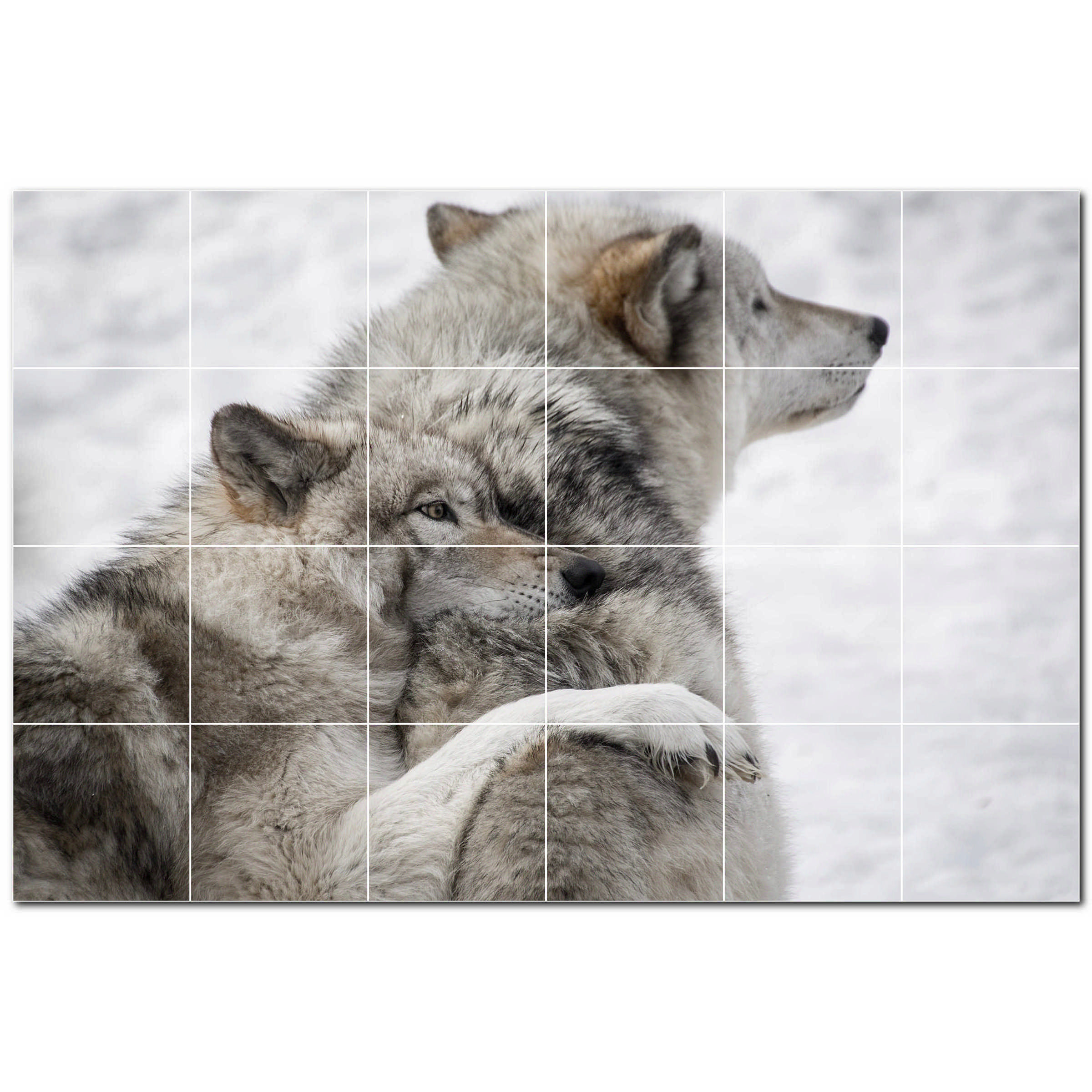 Picture-Tiles.com Wolf Photo 12'' x 12'' Satin Ceramic Decorative Mural ...
