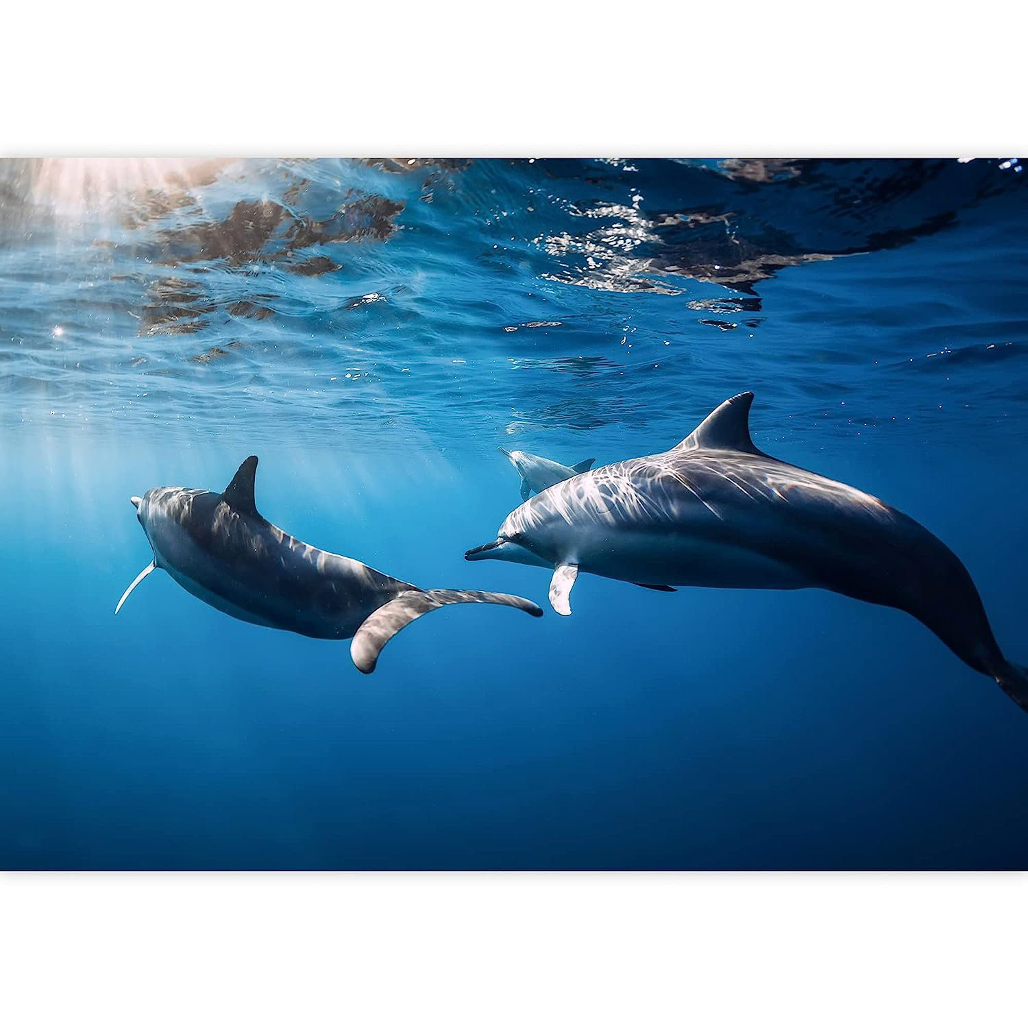 IDEA4WALL Multicolor Rainbow Underwater Ecosystem Paintable Wall Mural ...