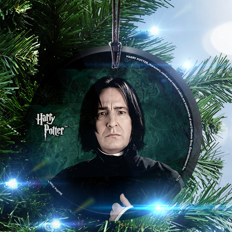 Trend Setters Harry Potter (Snape) Hanging Glass Print & Reviews | Wayfair