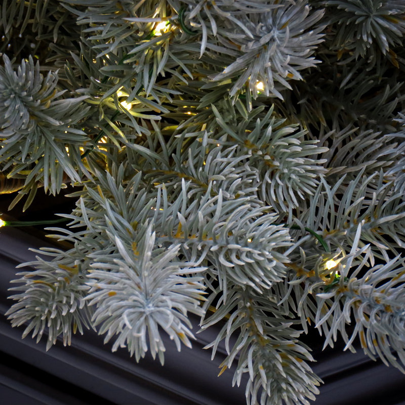 The Holiday Aisle® 4 ft. Pre-Lit Christmas Blue Evergreen Entrance Tree ...