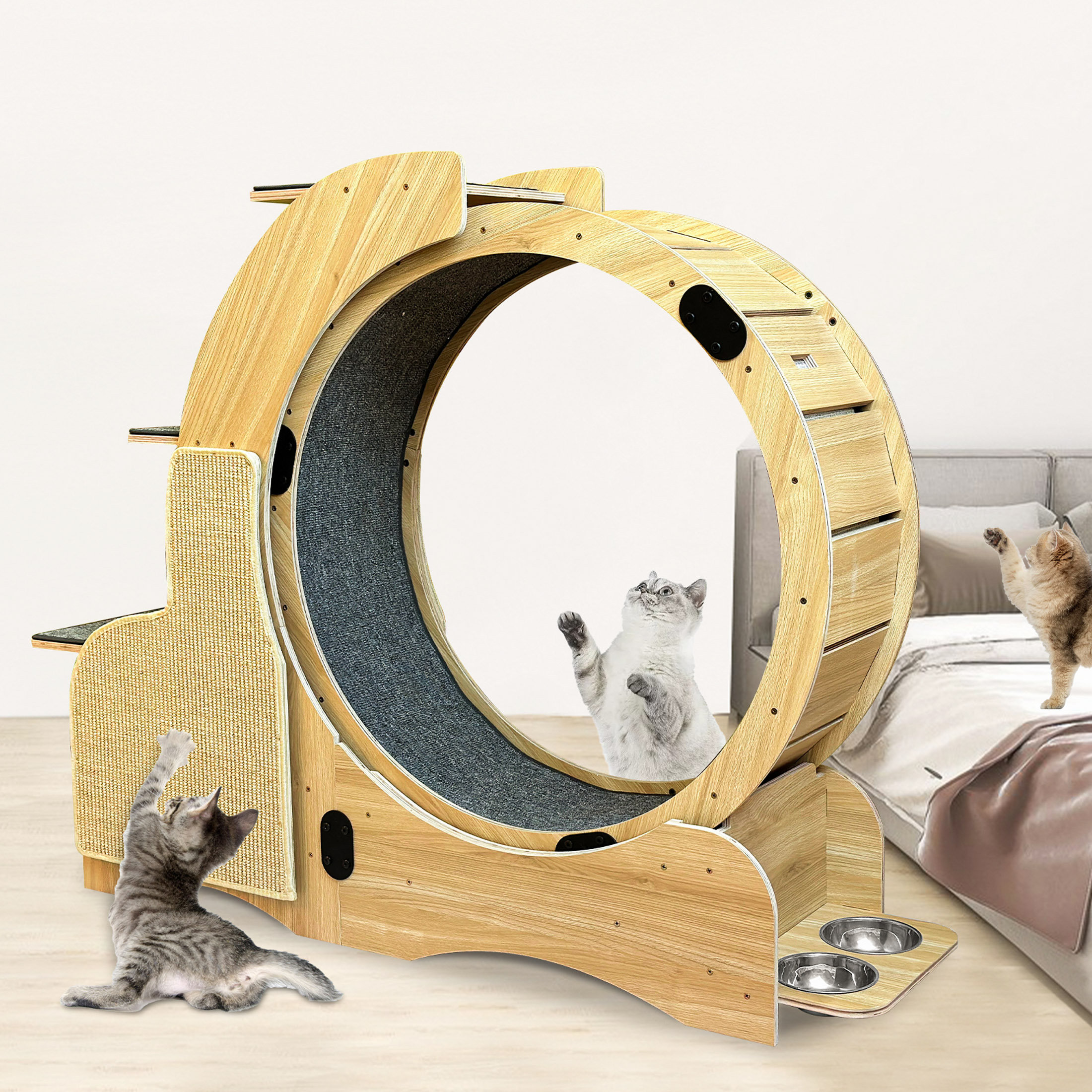 Tucker Murphy Pet™ 5-In-1 Cat Sports Running Wheel, Cats Wheel Wood ...