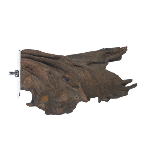 Wayfair | Bird Play Gyms