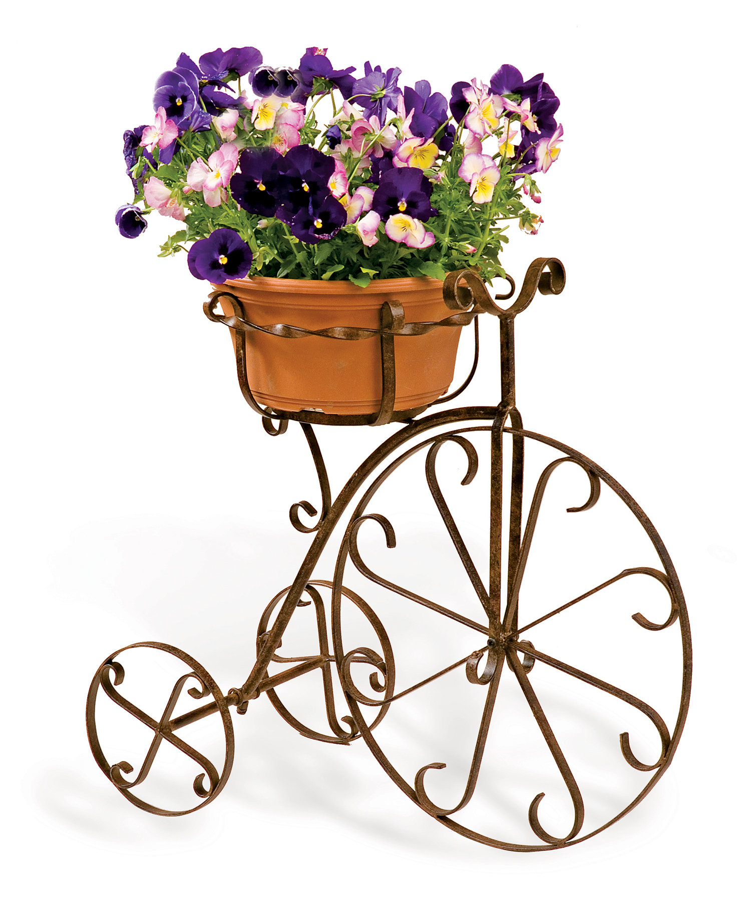 Deer Park Ironworks Fancy Bike Plant Stand & Reviews - Wayfair Canada
