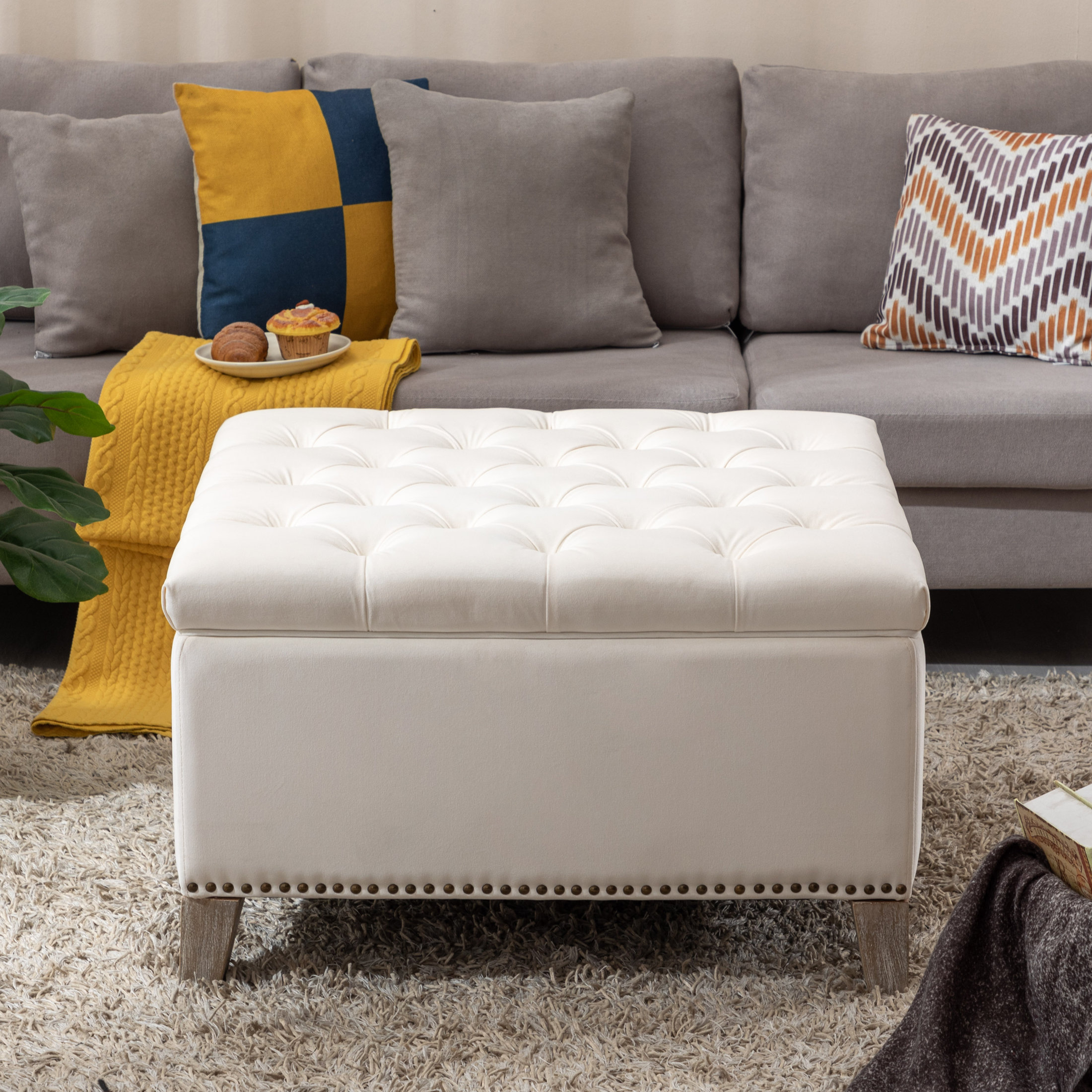Willa Arlo Interiors Pang Velvet Storage Ottoman And Reviews Wayfair