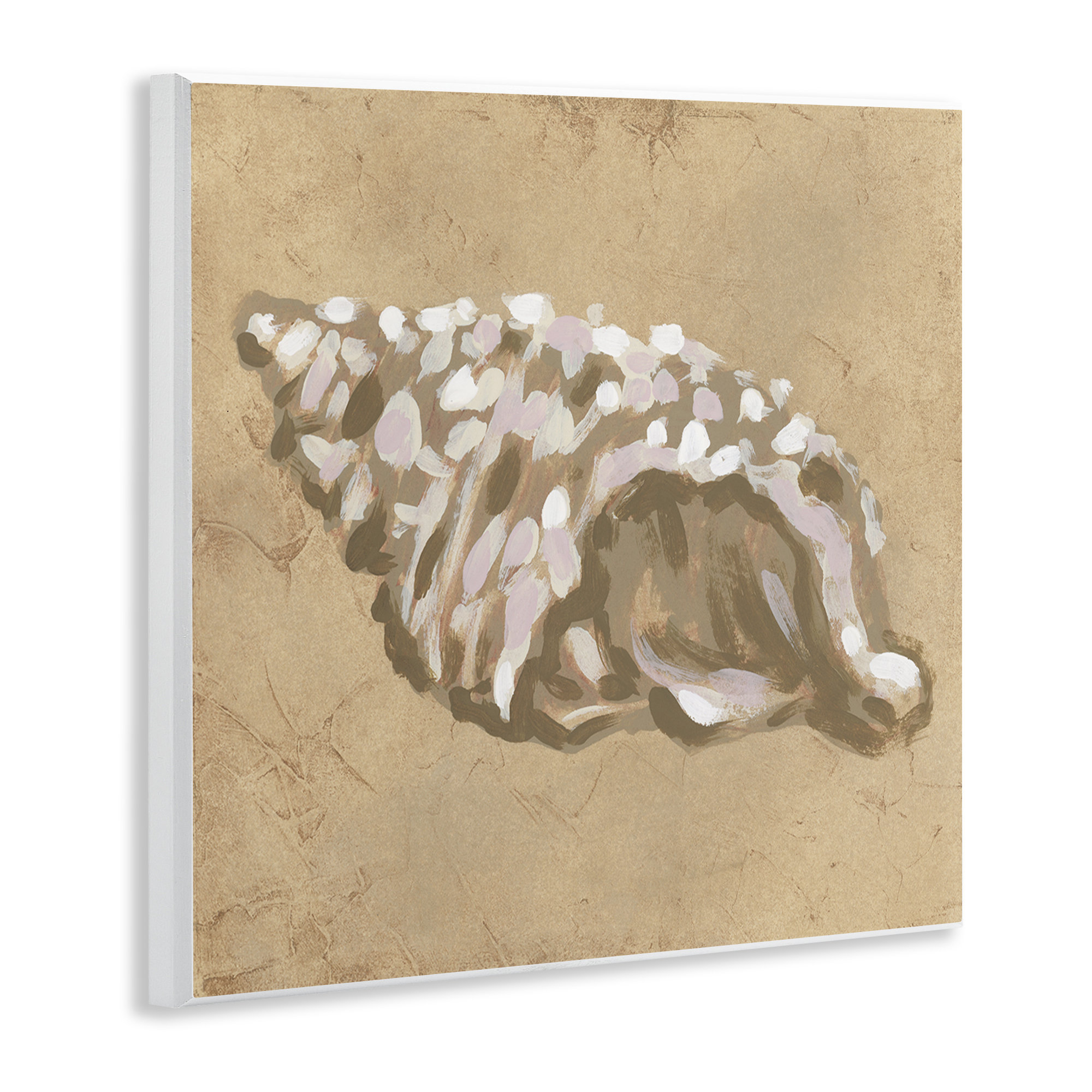 Highland Dunes Earth Tone Conch Wall Plaque, design by June Erica Vess ...