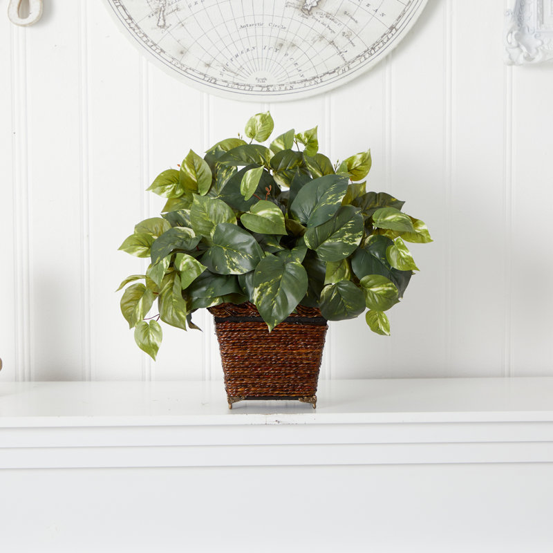 Primrue Pothos with Coiled Rope Planter Silk Plant | Wayfair